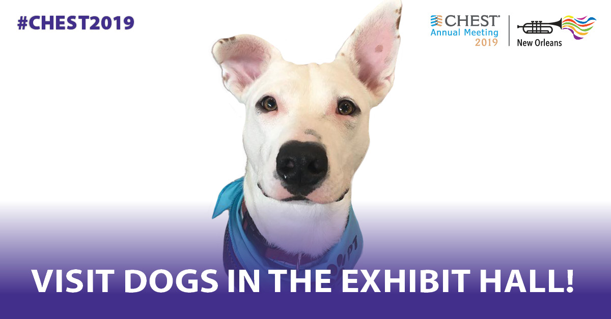 Make some furry friends while at CHEST 2019 - CHEST Physician